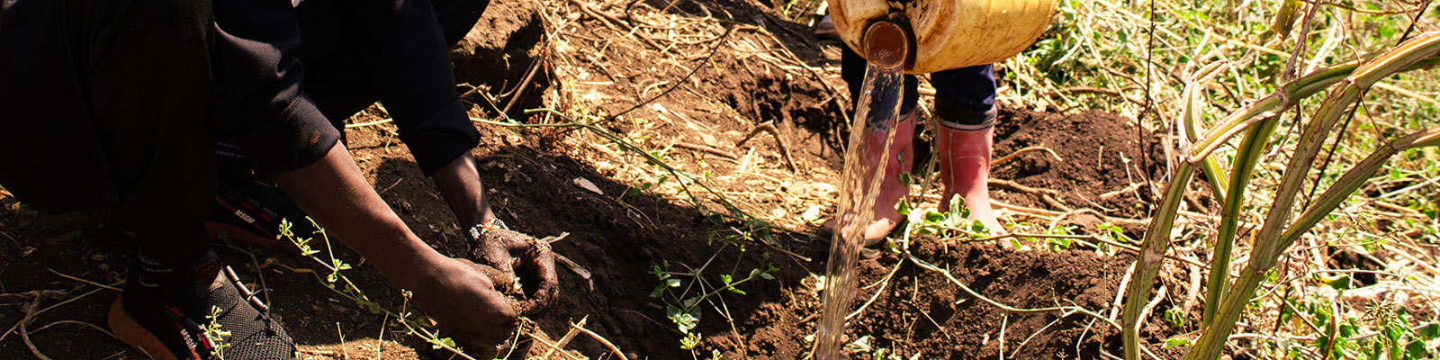 Aim & Objective - Osinoni Nature Conservation